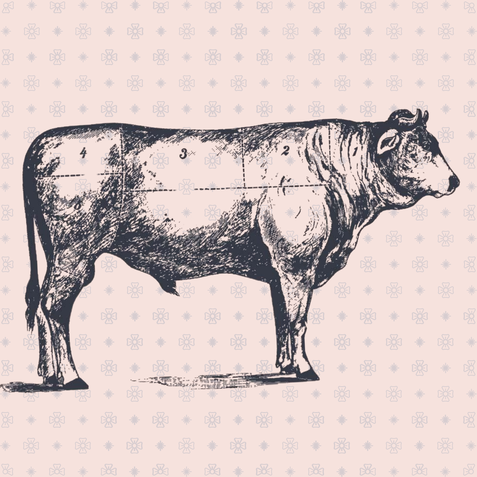 beef cow drawing